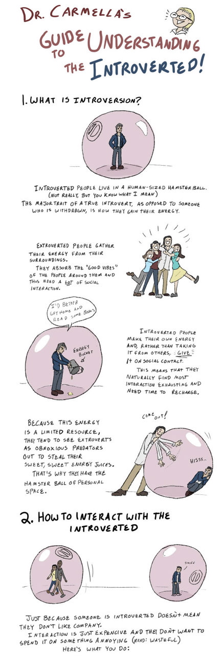 Care And Handling Of Introverts | mgpcpastor's blog